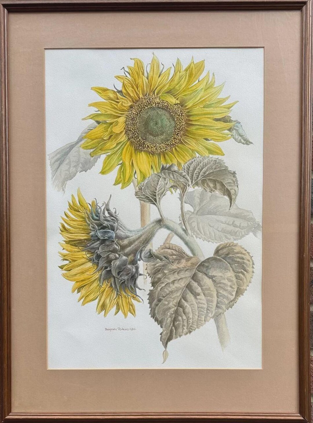 Benjamin Perkins : Study of Sunflowers, Watercolour - Etsy