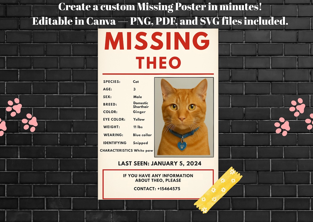 Editable Missing Poster Bundle, Lost Pet & Missing Person Flyer ...