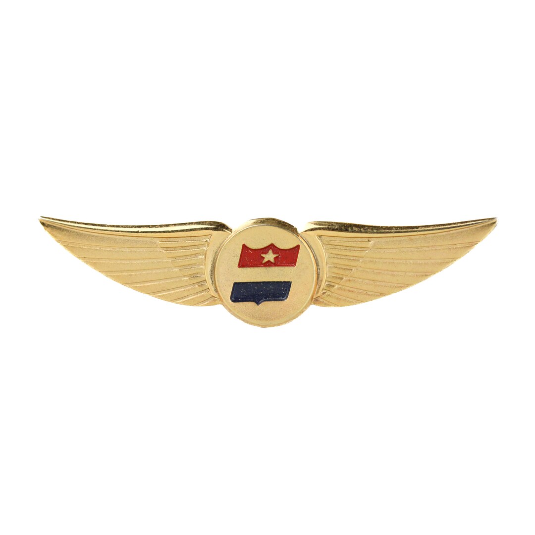 Vintage 1970s United Airlines Male Flight Attendant Wings - Etsy