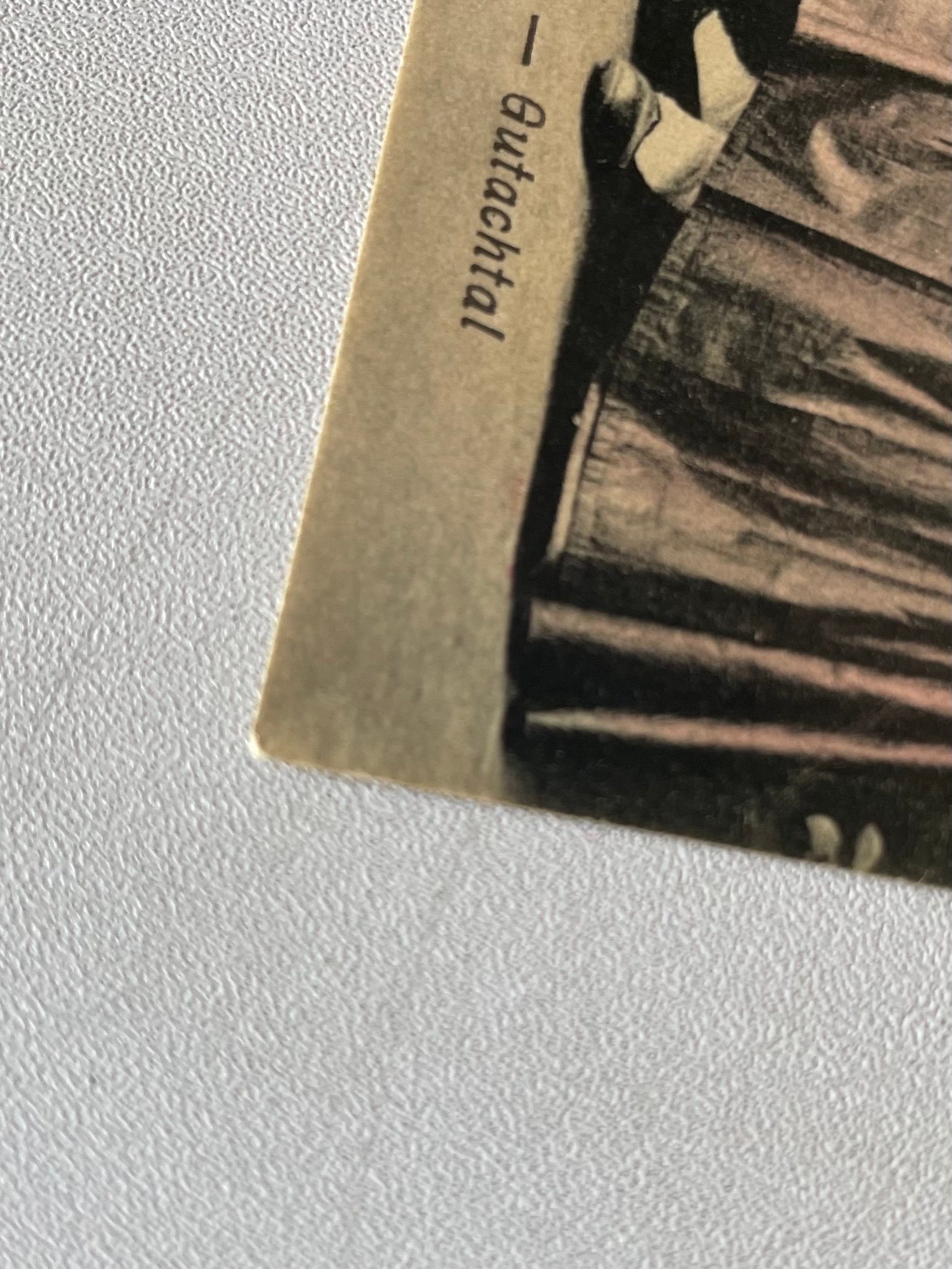 Vintage Postcard Traditional German Costume Tinted Photograph | Etsy