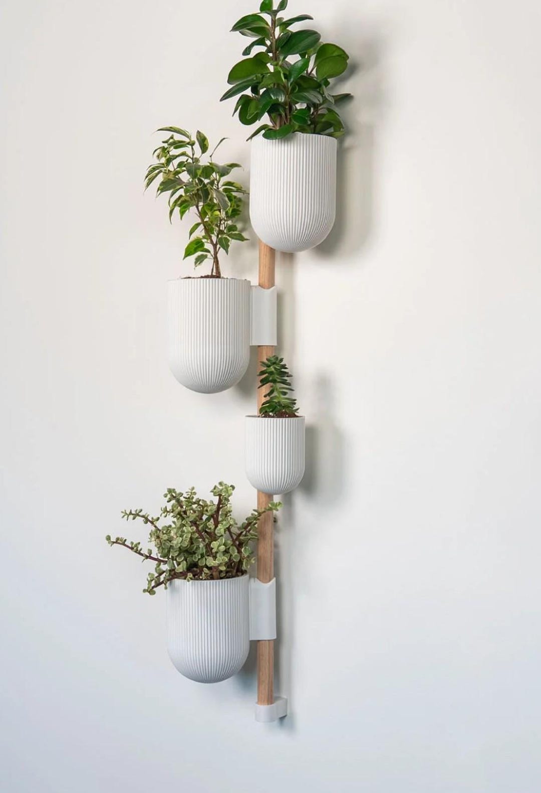 3D Printed Ira Modular Plant Stand – Tripod or Wall-mounted Rail System ...