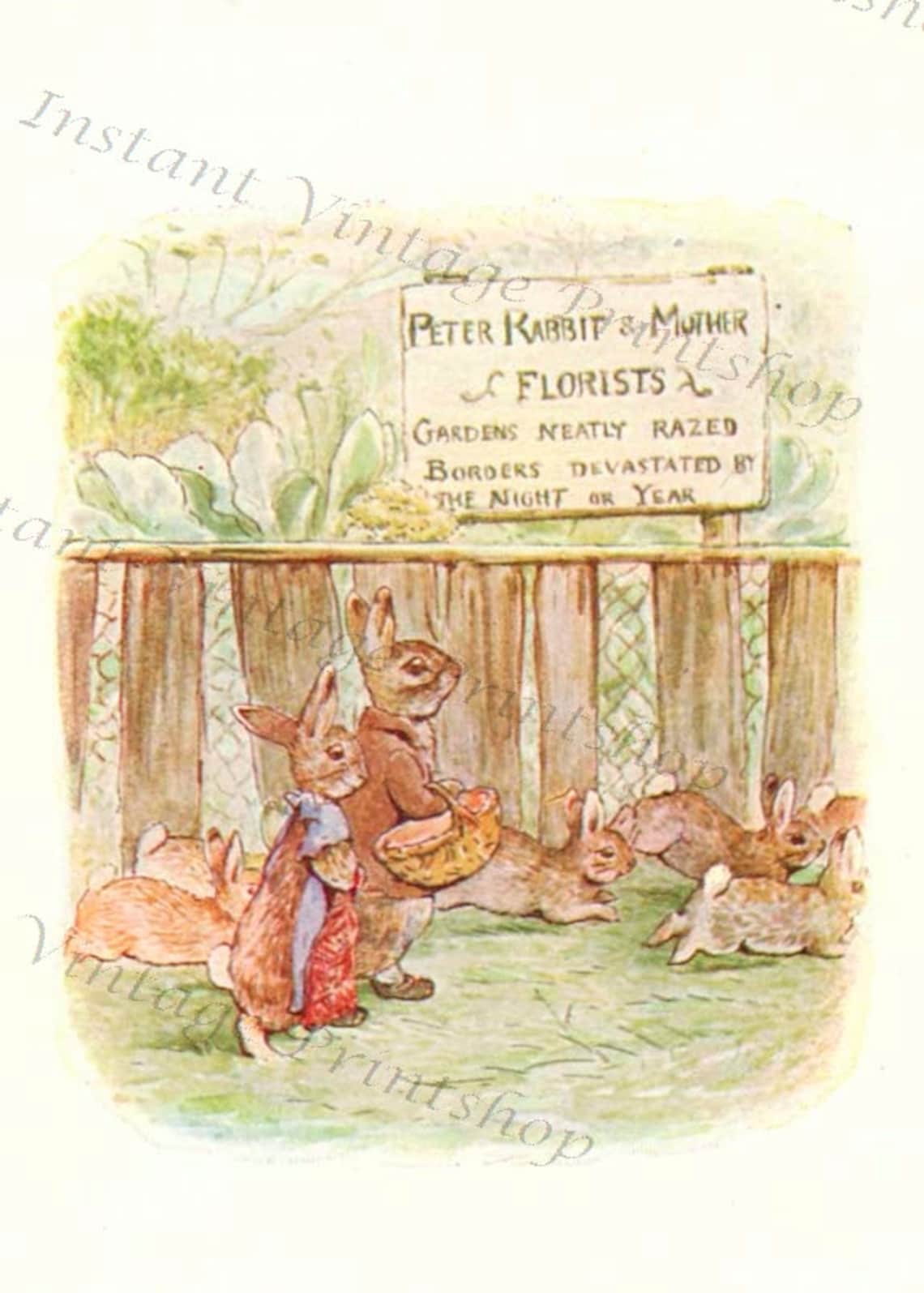 Flopsy Bunnies Instant 5x7 Digital Download 1909 Beatrix Potter Art ...