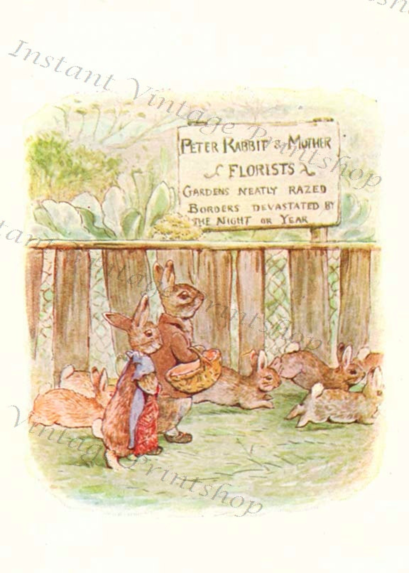 Flopsy Bunnies Instant 5x7 Digital Download 1909 Beatrix Potter Art ...