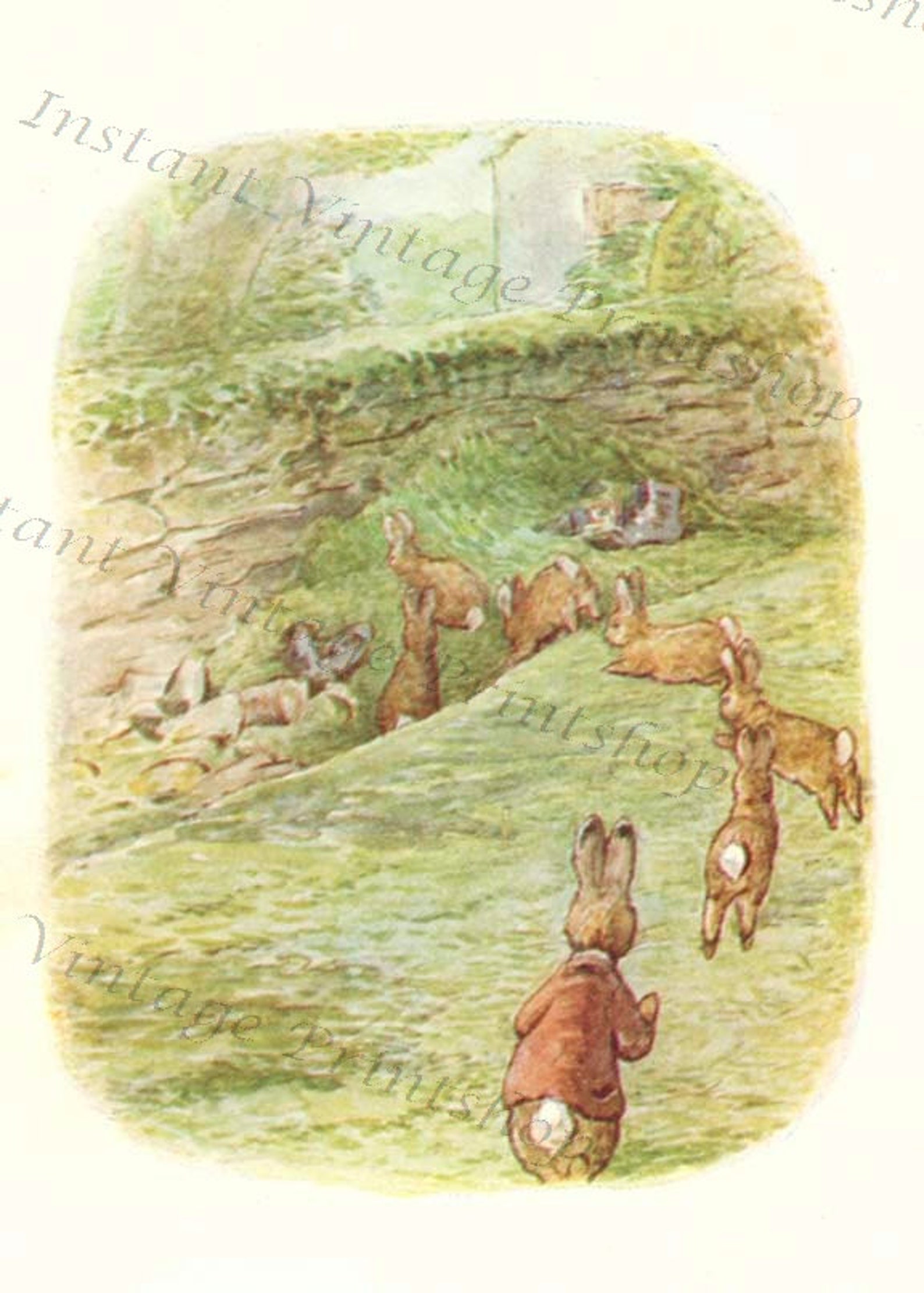 Flopsy Bunnies Instant 5x7 Digital Download 1909 Beatrix - Etsy