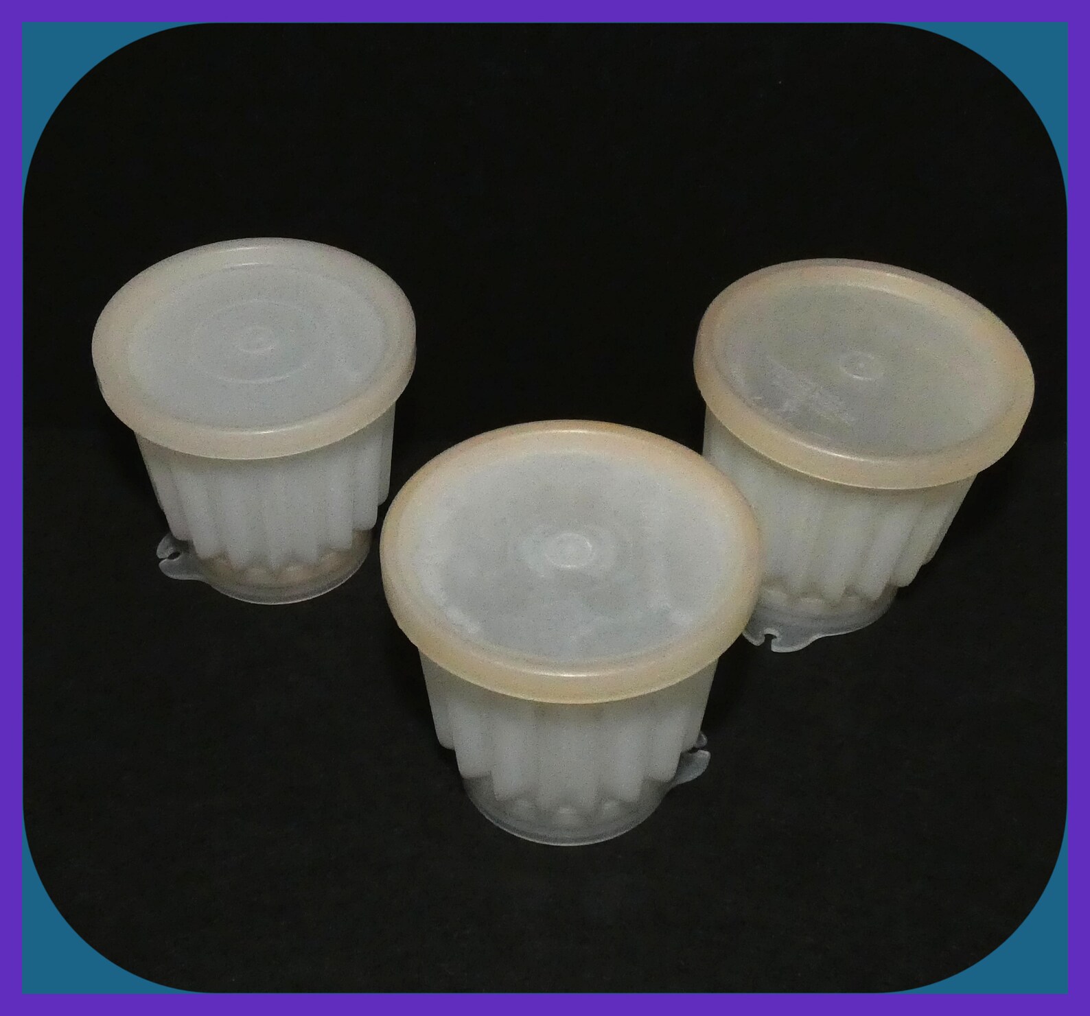 Tupperware Individual JELLO Gel Molds Upper and Bottom Lids - Etsy