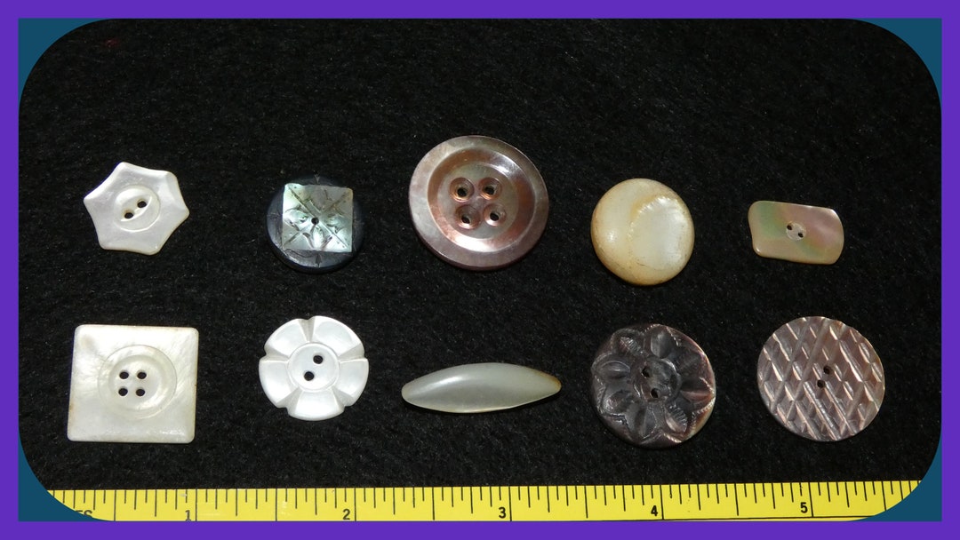 Hand Carved SEASHELL Shell Buttons, Odd Shapes and Sizes, Vintage ...