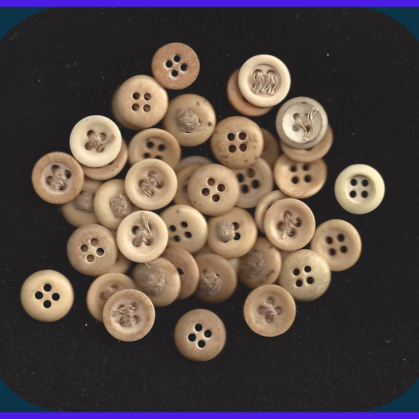 Bone Buttons - Etsy