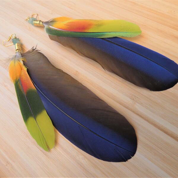 Macaw Earrings - Etsy