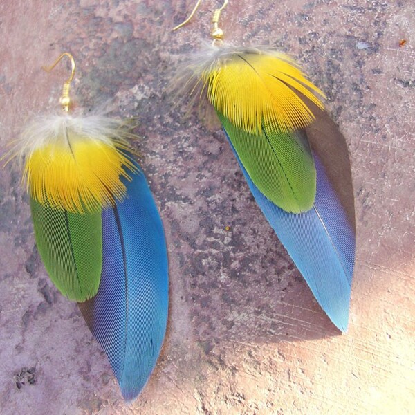 Feather Earrings - Etsy