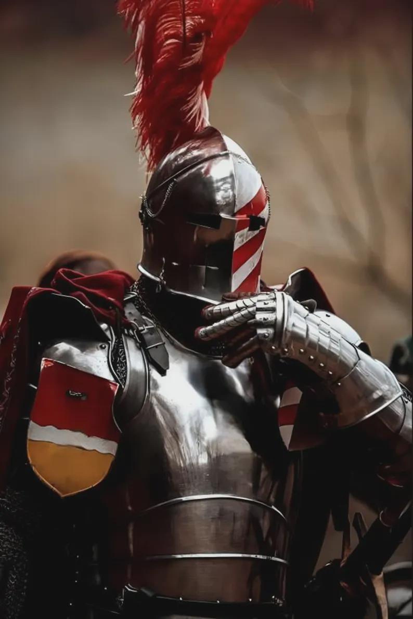 Royal Knight Full Armor Set ~ Mild Steel Barbuta, LARP Cosplay Costume ...