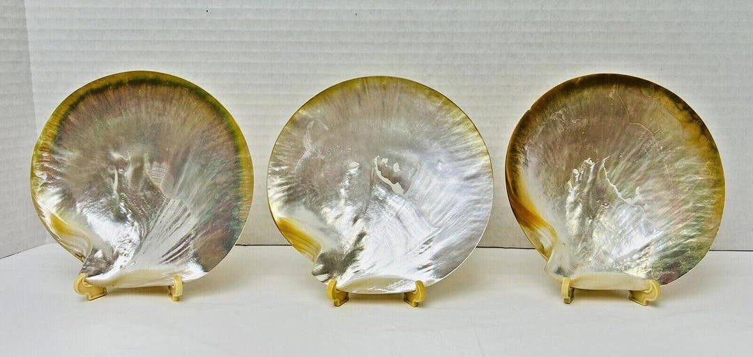 Vintage Mid Century Modern Abalone Pearl Shell Small Plates 5.5” X 5.5 ...