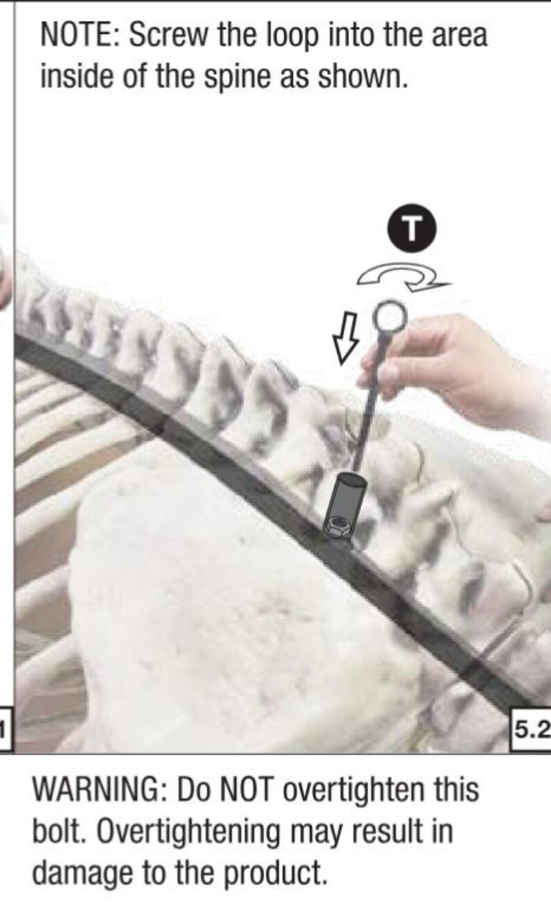 12 Foot Home Depot Skeleton Loop Bolt (part T) - "skelly You Don't Look ...