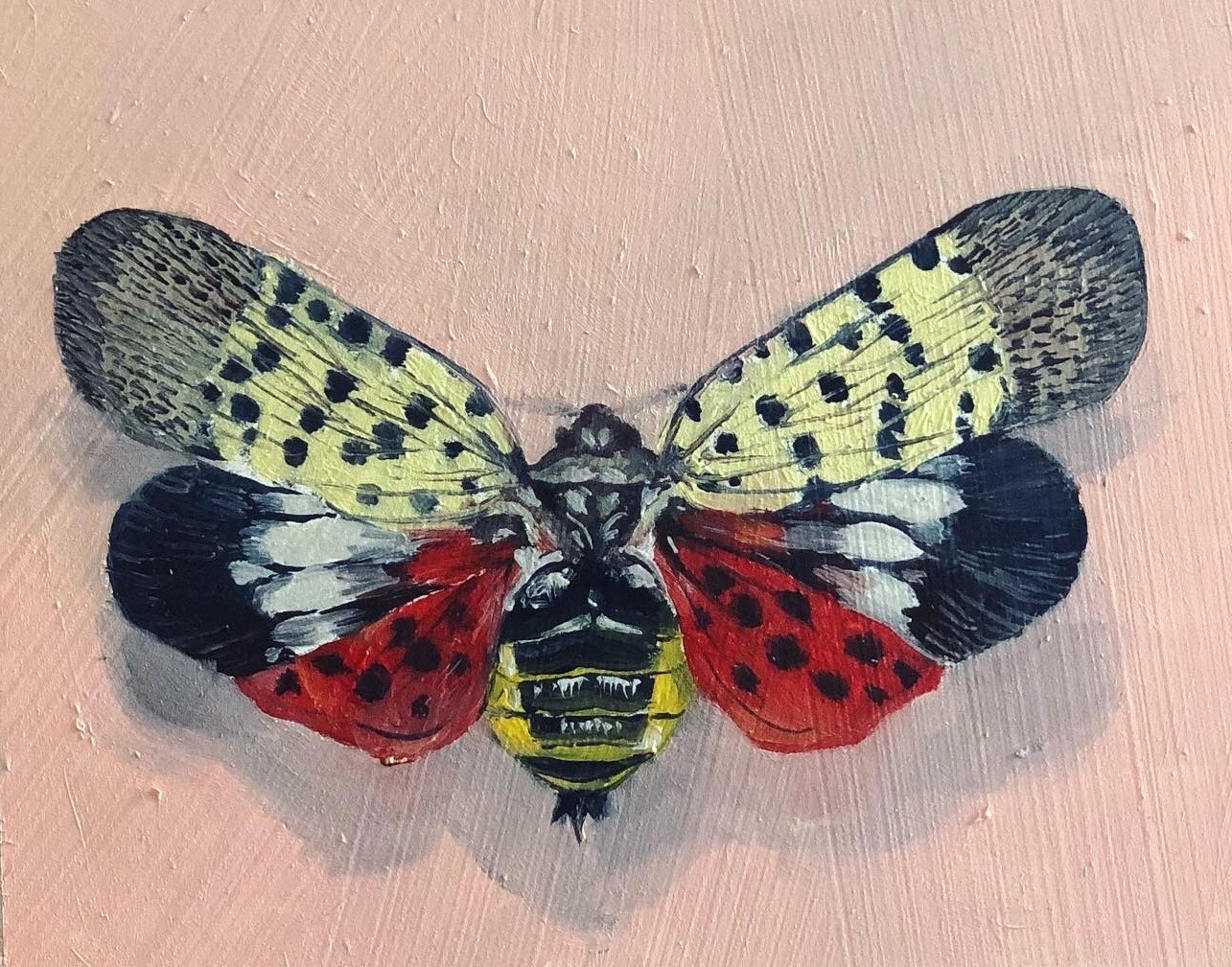 Spotted Lanternfly Giclee Print 5”x4” - Etsy