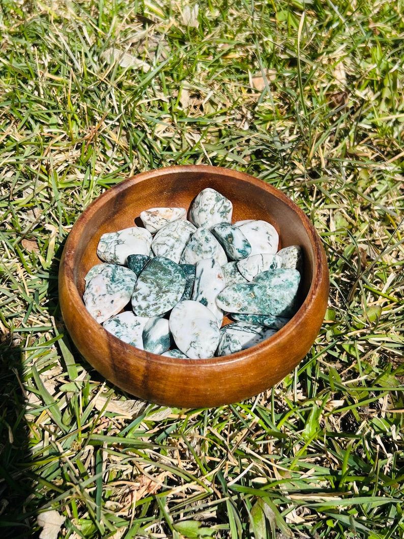 Green Tree Agate Tumbles | Tree Agate Crystal | Grounding Stone ...