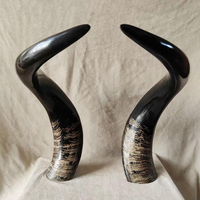 Large Polished Yak Horn Pair, Real Buffalo Horn, Curved Horn Decor ...