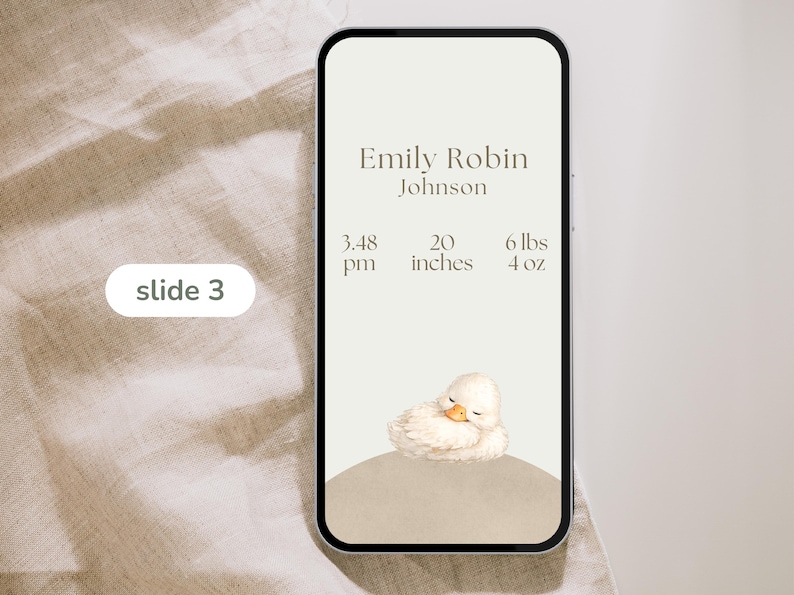 Digital Birth Announcement Video | Goose • Animated Baby Announcement ...