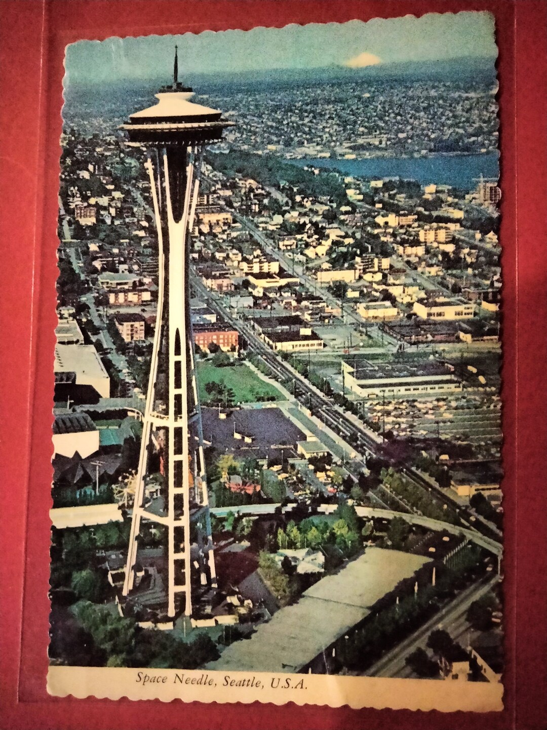 Space Needle & Mount Baker - Vintage Postcard - Etsy