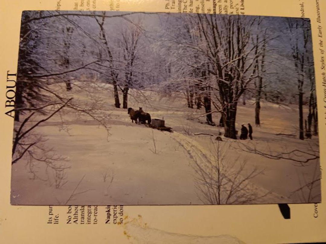 Gathering Sap for Vermont Maple Syrup & Sugar - Vintage Postcard - Etsy