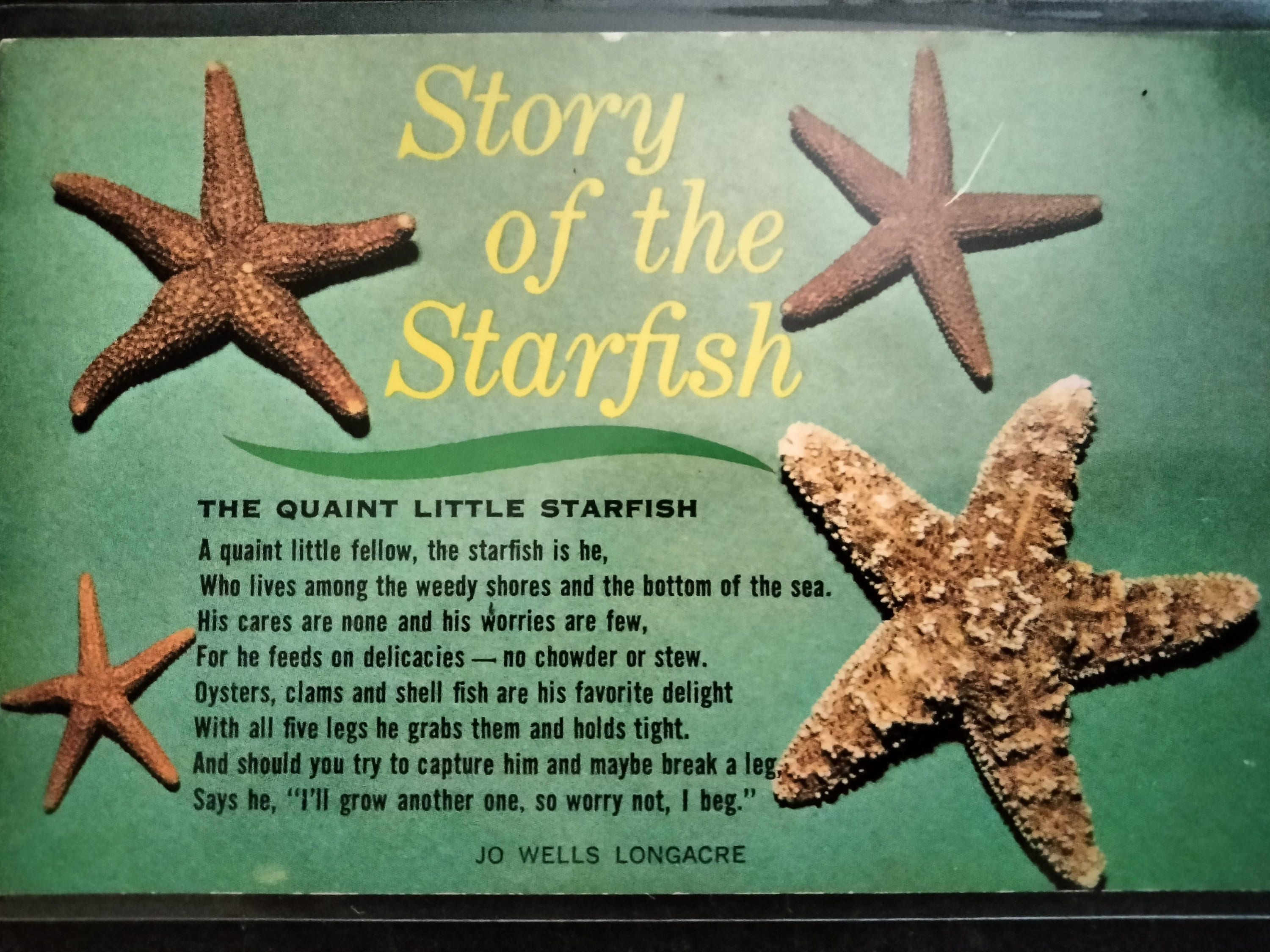 Story of the Starfish Vintage Postcard - Etsy