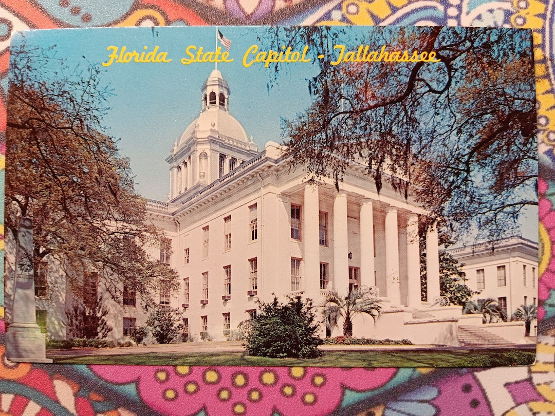 Florida State Capital - Tallahassee Vintage Postcard - Etsy