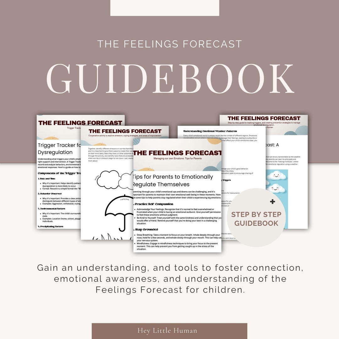 Feelings Forecast Guide Book for Parents Understanding and Supporting ...