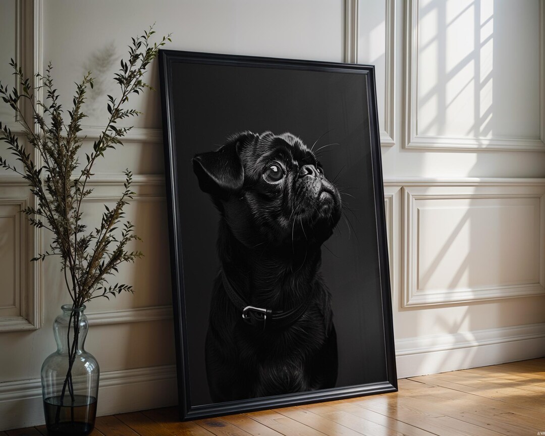 Black Pug Side Profile Portrait | Fine Art Black and White Photography ...