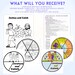 Joshua and Caleb Spinner Wheel Craft (PDF), Printable Sunday School ...
