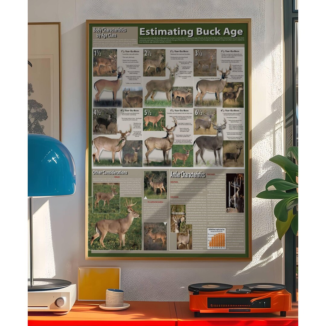 Deer Age Chart Poster, Buck Body Characteristics, Hunter Gift (digital ...