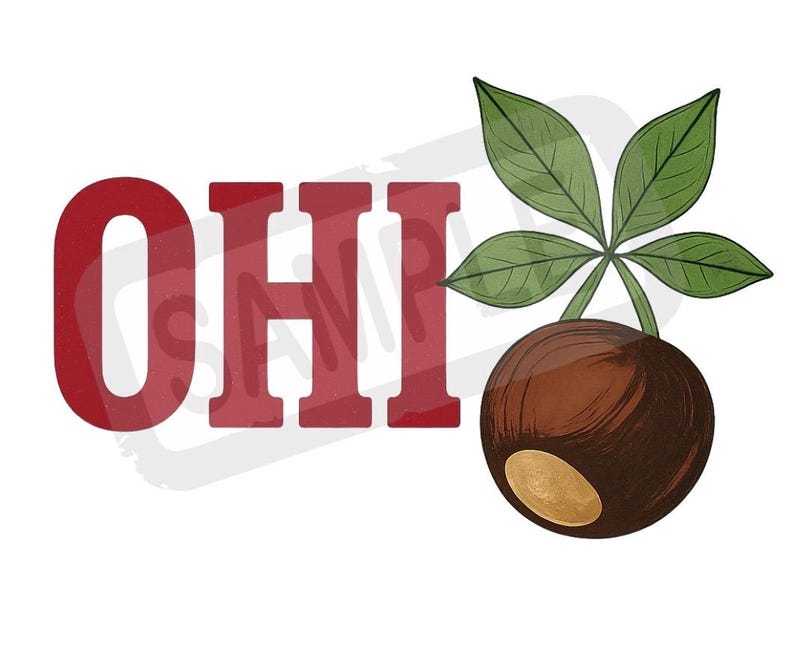 OHIO With a Buckeye Design - Etsy