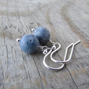 Blue Coral Earrings, Small, Simple, Pale Blue Coral Dangle Earrings - Etsy