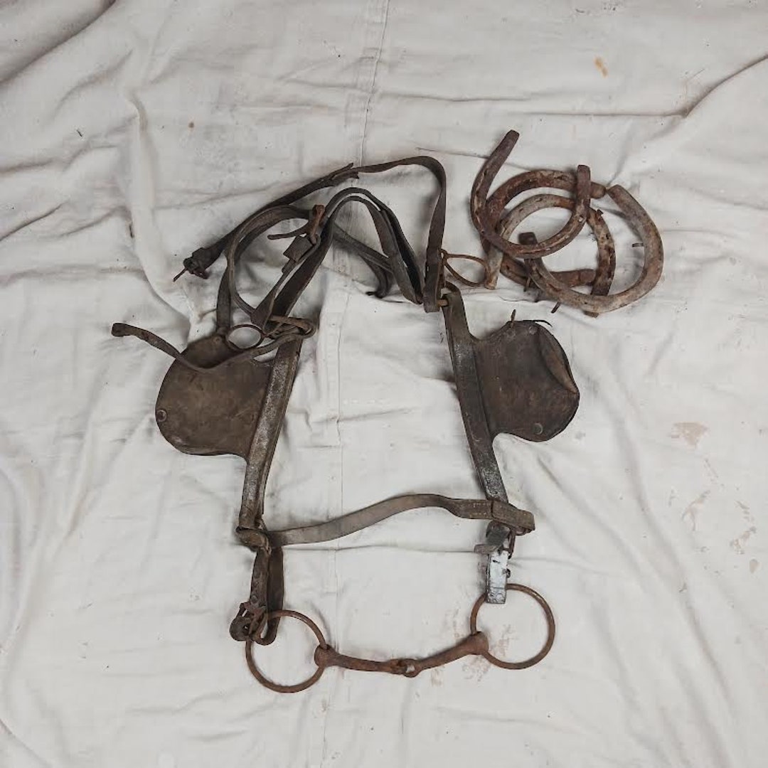 Antique Leather Horse Blinders and Old Horseshoes - Etsy