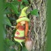 Gwen the Little Witch - Needle Felted Wool Witch, Waldorf Inspired Doll ...