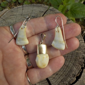 Elk Teeth - Etsy