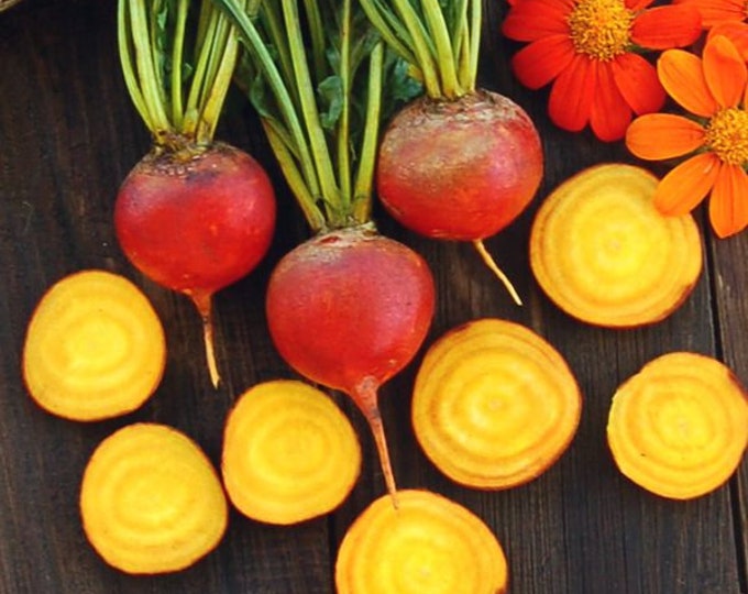 Touchstone Gold Beet Seeds 50 Seeds - Etsy