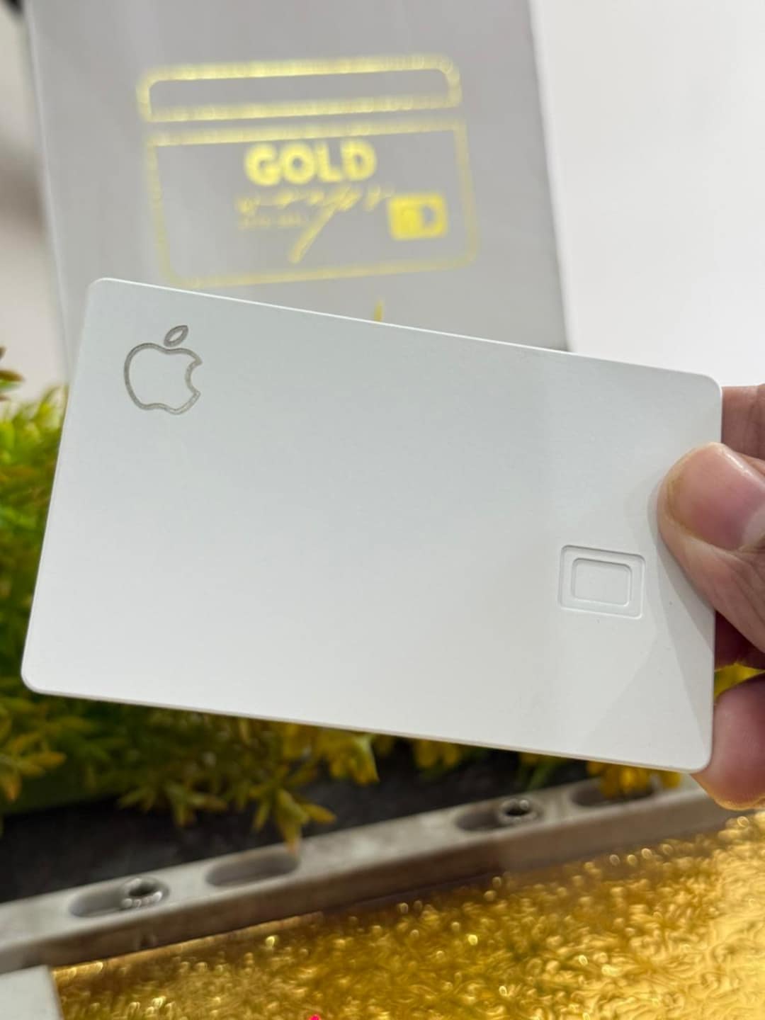Custom Metal Card – Novelty Design, Stainless Steel Collector Apple ...