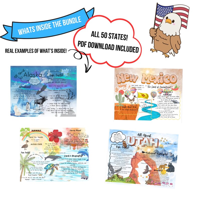 50 States Fact Sheets: Homeschool Geography, U.S. State Worksheets ...