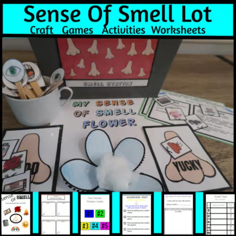 Five Senses- Sense of SMELL Activities, Games, Craft & Worksheets - Etsy