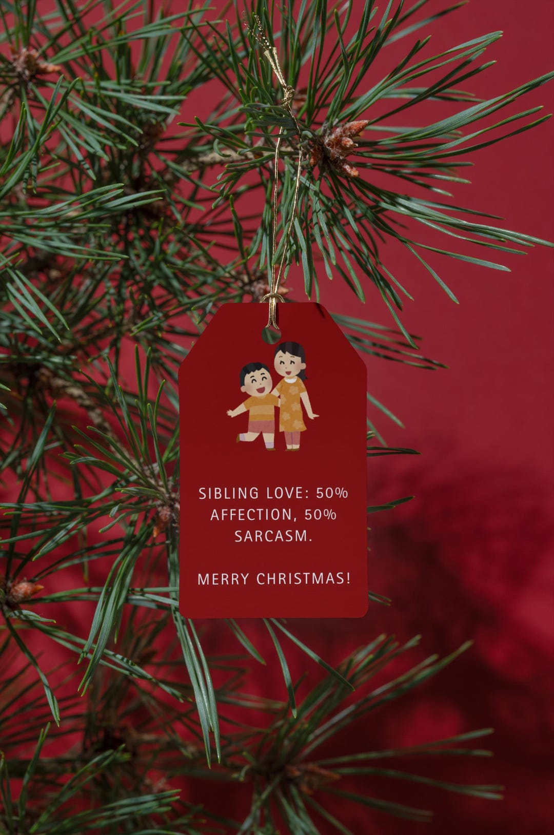 Funny Sibling Christmas Gift Tags, Editable Canva Template, Holiday ...