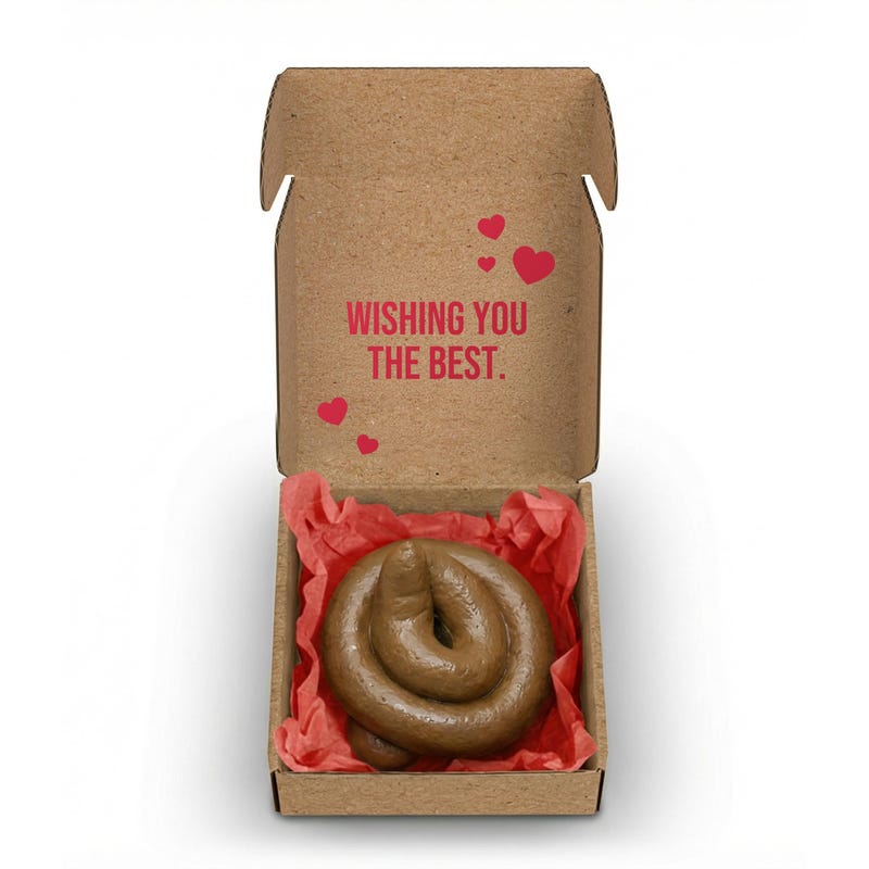 Realistic Fake Poop - Etsy