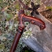 Wild Boar Unique Wooden Cane Walking Stick - Wood Carved Walking Cane ...