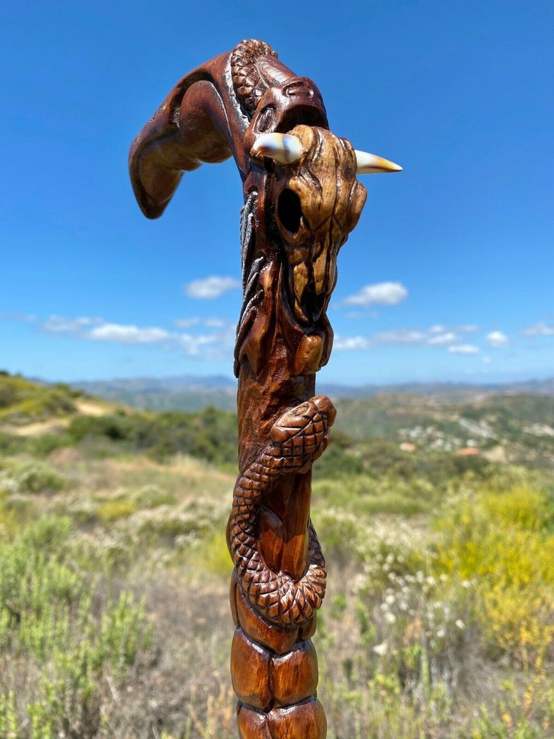 Buffalo Skull & Snake Dark Wooden Cane Walking Stick Wood - Etsy