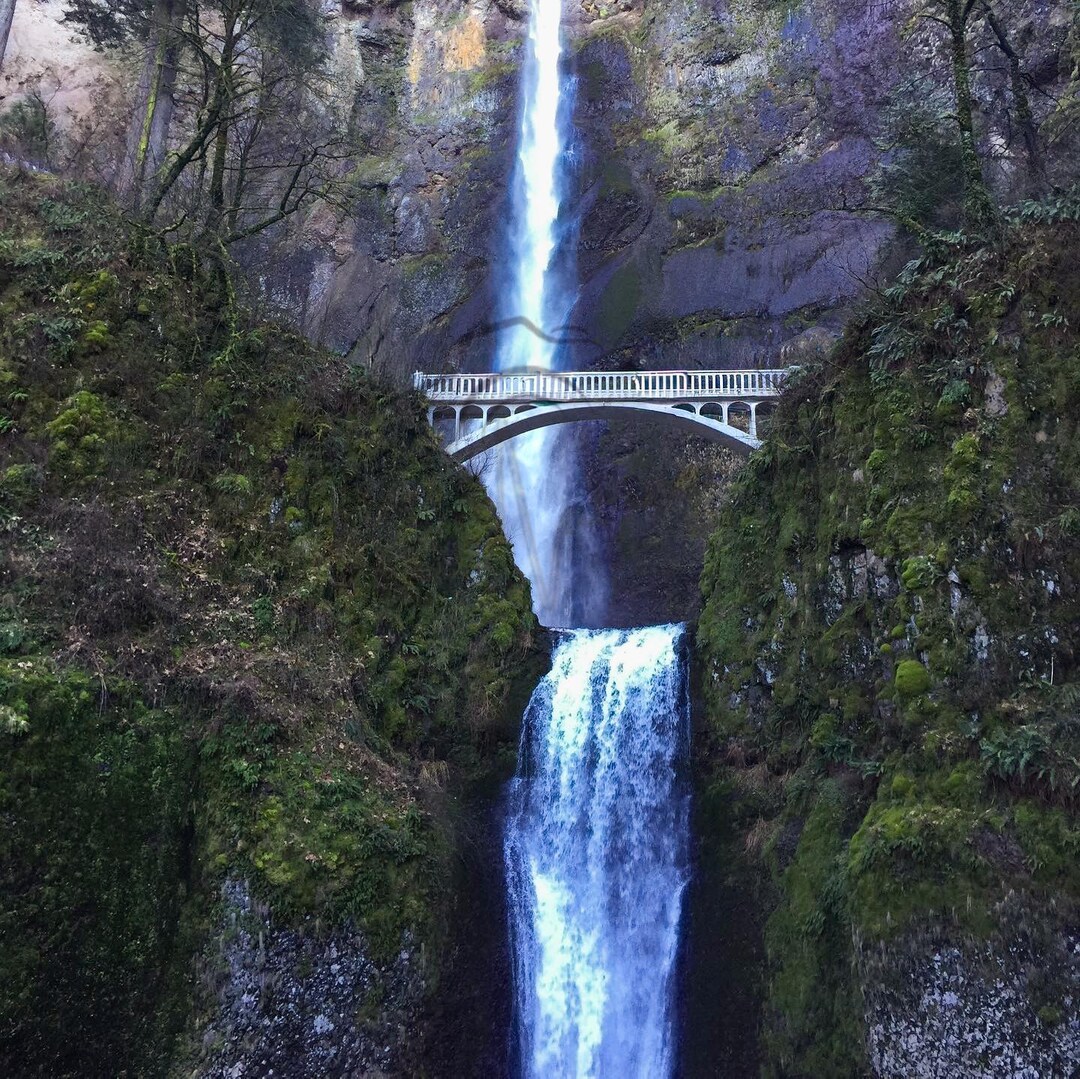 Multnomah Falls Photography Print – Oregon Waterfall Wall Art – Nature ...