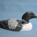 Hand Carved Common Loon Decoy Robert Kelly Woodcarving - Etsy