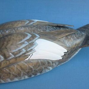 Hand Carved Red Breasted Merganser Magnum Hen Decoy Robert | Etsy