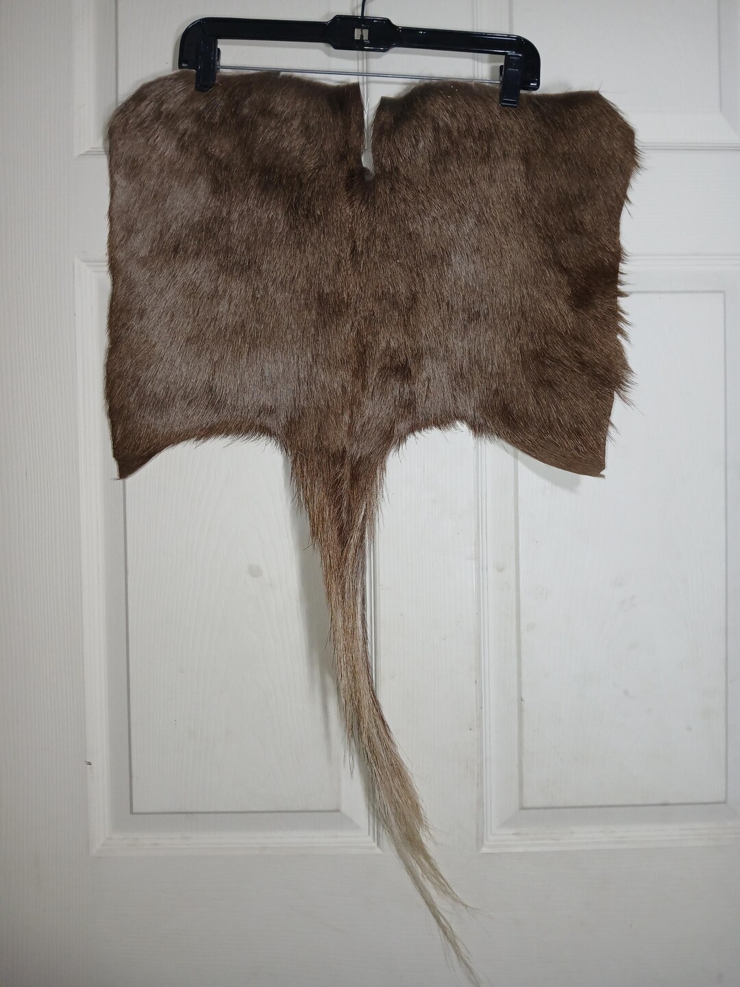 Deer Hide Section With Tail ~27” Rustic Taxidermy Pelt - Etsy