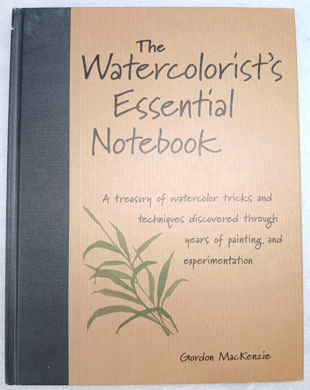 Watercolorist’s Essential Notebook Gordon Mackenzie 1999 Hardcover Art ...