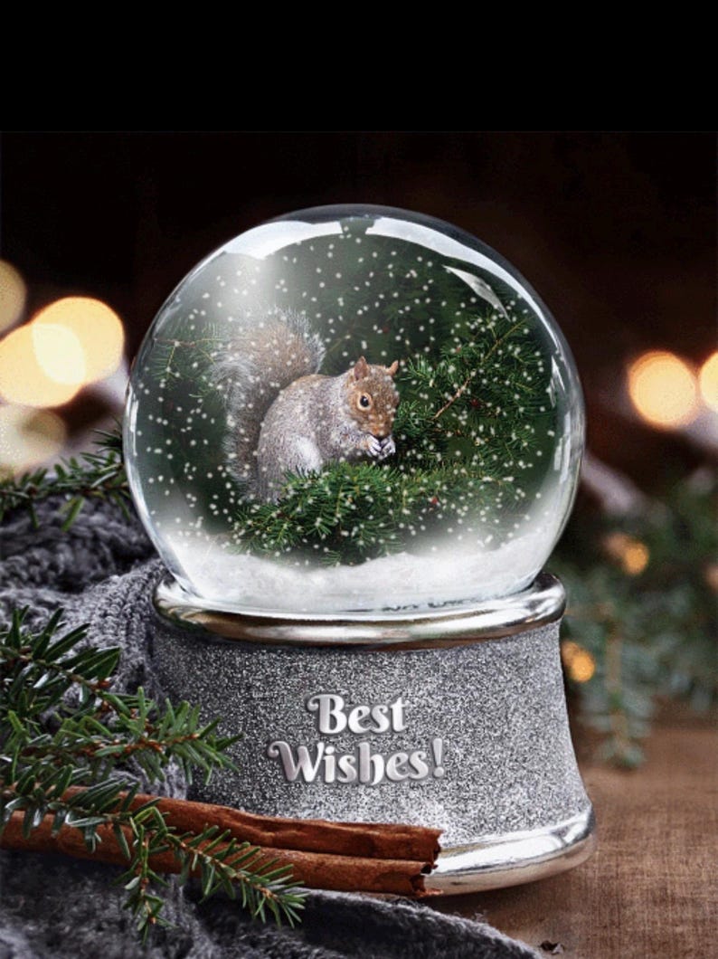 Snow Globe Animation - Etsy