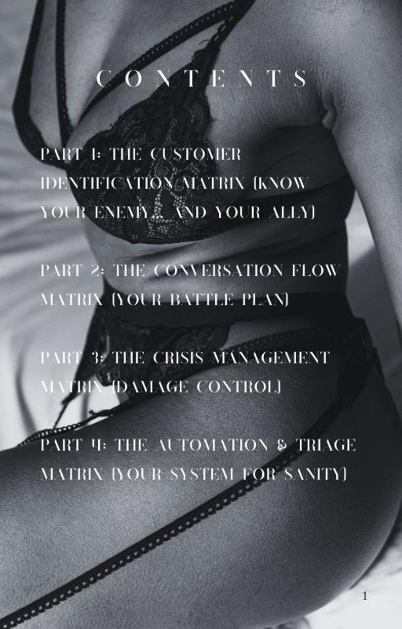 DM to Dollars Flowchart | A Visual Guide to Converting Followers on ...