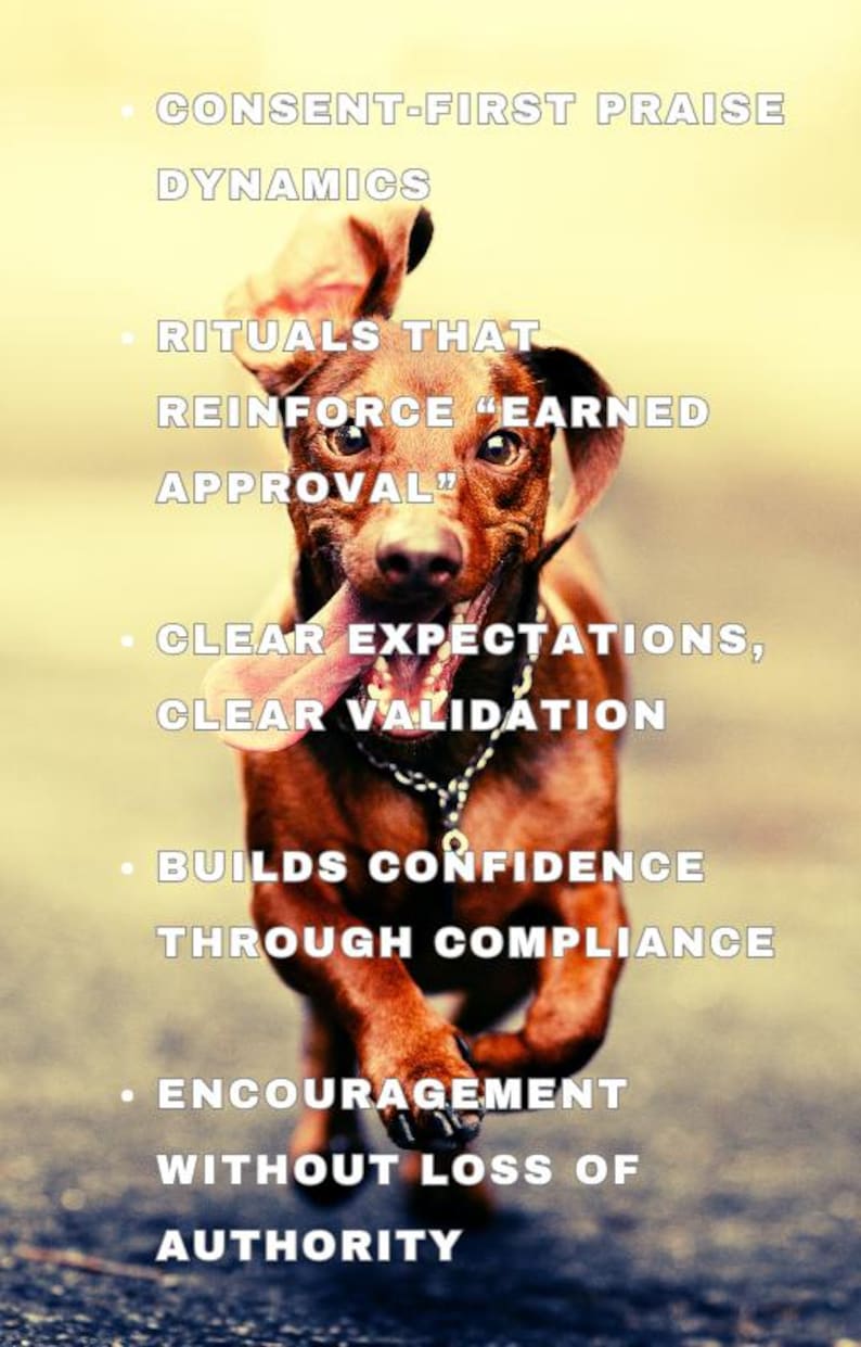 The Good Boy Compendium | Nurturing Praise Scripts - Etsy