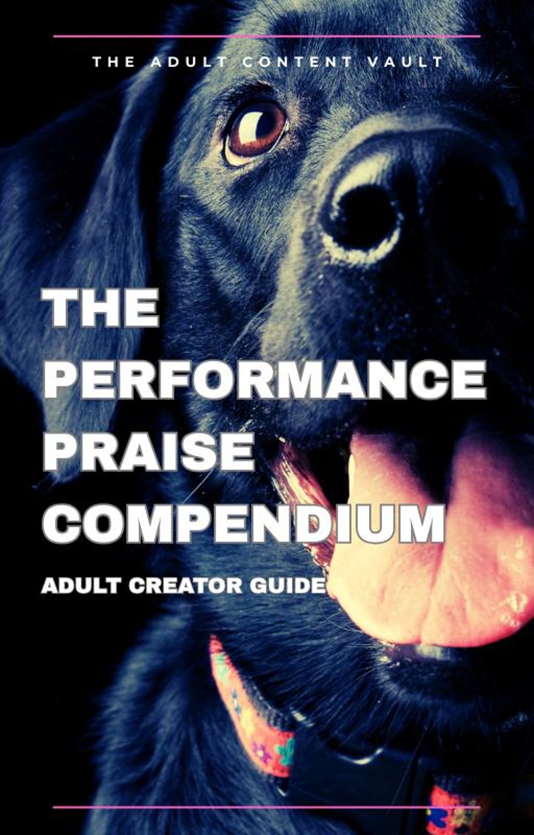 The Performance Praise Compendium | Sexual Skill Scripts - Etsy Australia